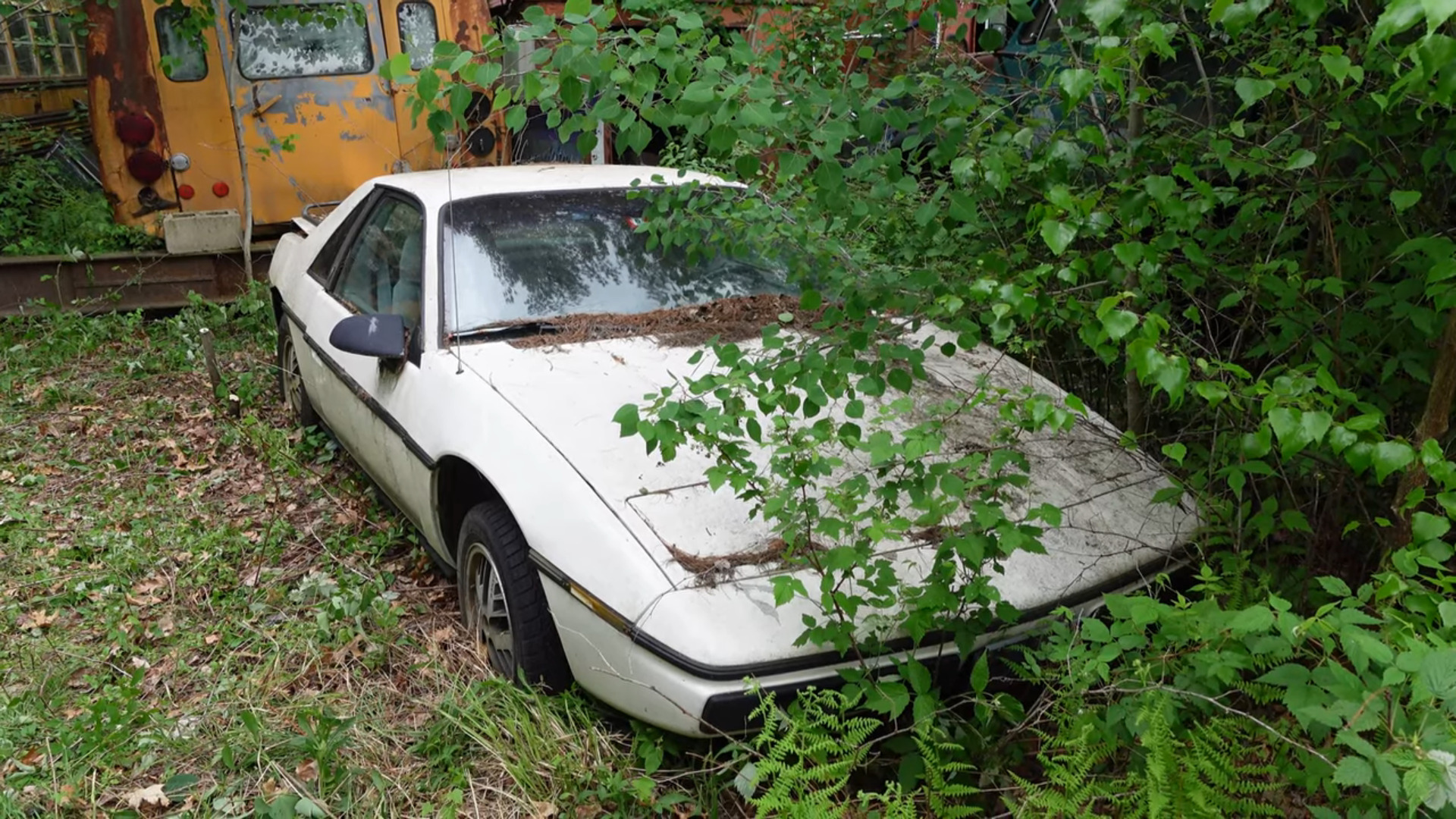 1984 Pontiac Fiero 2M4 Forgotten in the Woods Is Covered in Pine ...